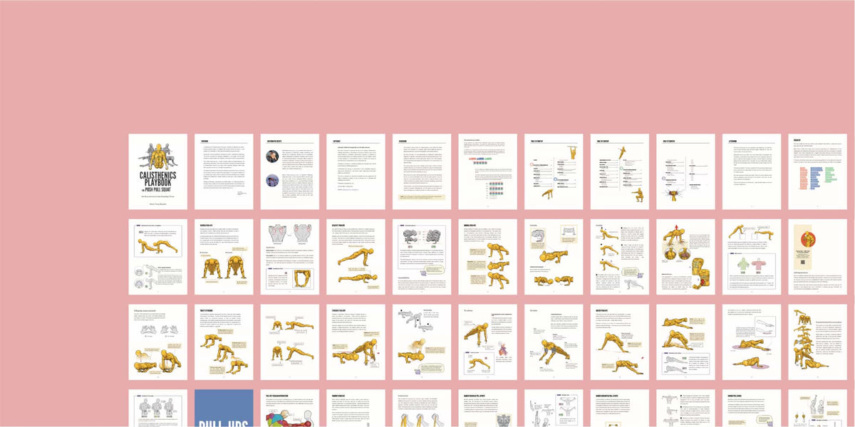 Calisthenics Playbook for Push Pull Squat (Digital book) – Yellow Dude