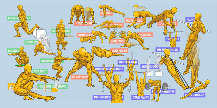 Calisthenics Playbook for Push Pull Squat (3 × Paperback) – Yellow Dude